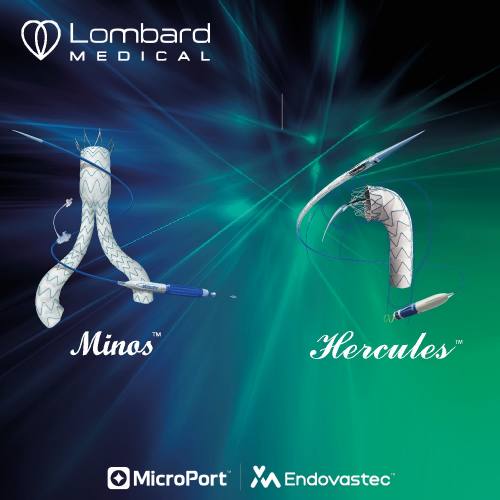 MicroPort’s Minos and Hercules stent grafts now CE marked and available ...